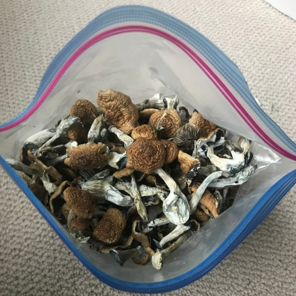 Penis Envy Supreme Mushrooms | Shrooms and Edibles