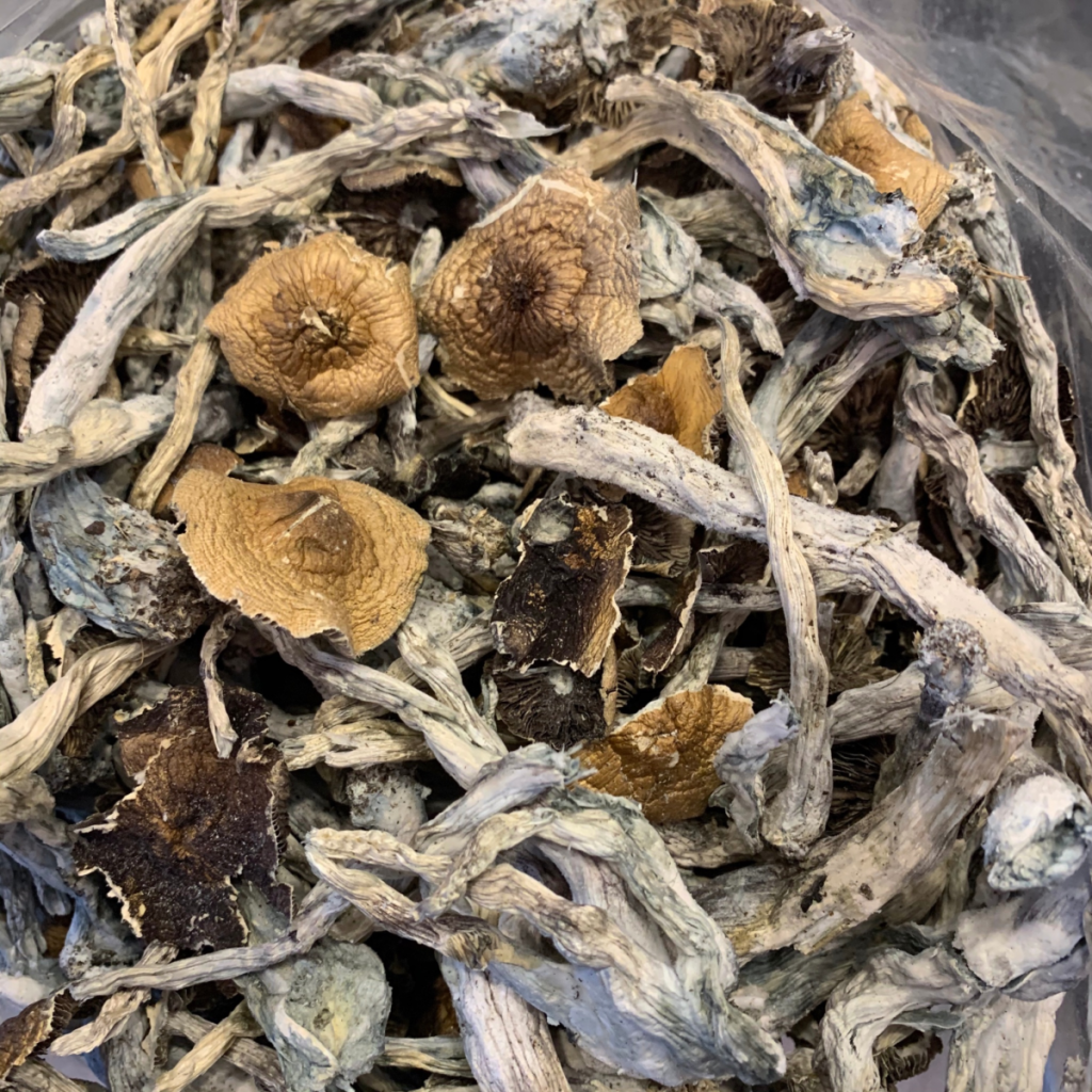 Dancing Tiger Mushrooms - Shrooms and Edibles