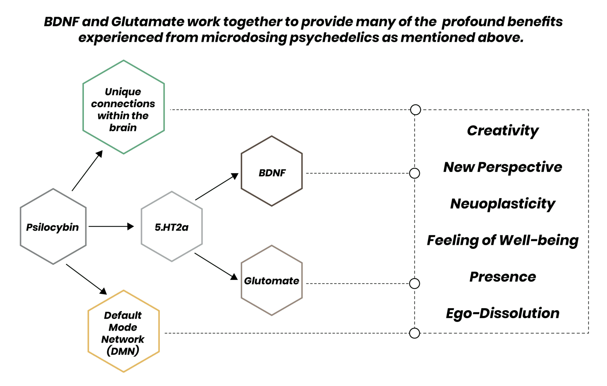 Microdosing Guide - Shrooms and Edibles