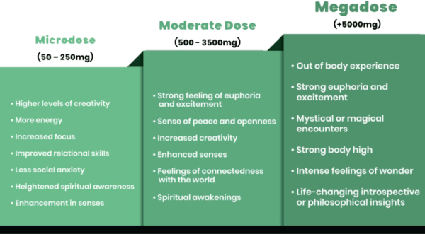 About Us & Shrooms - Shrooms and Edibles