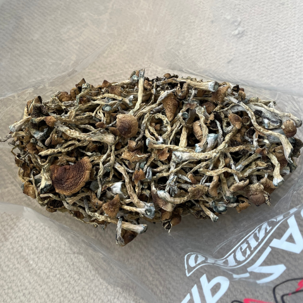 Lizard King Mushrooms - Shrooms and Edibles