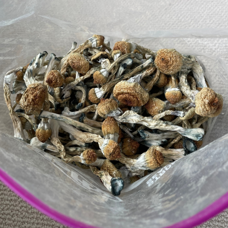 5 Types of Magic Mushrooms That are The Strongest - Shrooms and Edibles