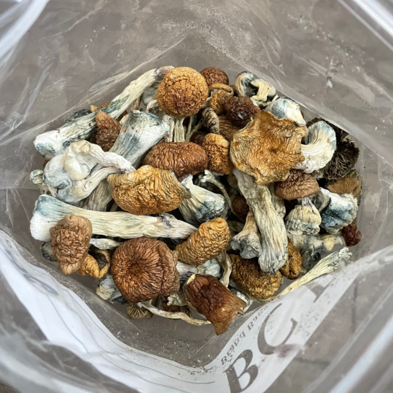 Buy shrooms | Magic mushrooms | Raw mushrooms | Psilocybin mushrooms